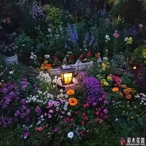 夜晚花园图片 花园夜景 大山谷图库
