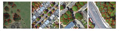 Positive Results With Self Supervised Model Trees In Red Bounding