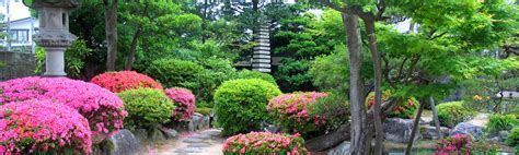瑞龍寺門前レストラン やすらぎ庵