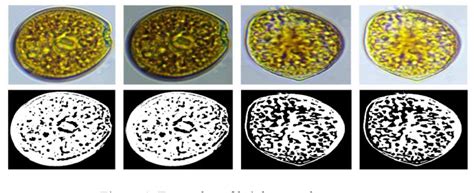 Figure 1 From Automated Red Tide Algae Recognition By The Color Microscopic Image Semantic Scholar