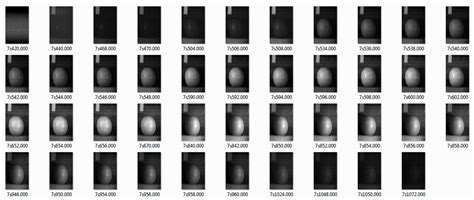 Algorithms Free Full Text Examination Of Lemon Bruising Using