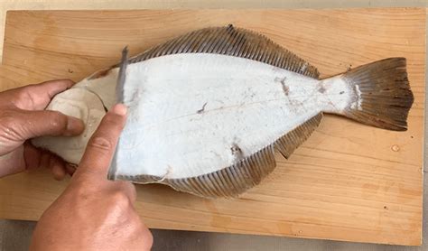ヒラメの昆布締め 釣船 湘南 茅ヶ崎 一俊丸