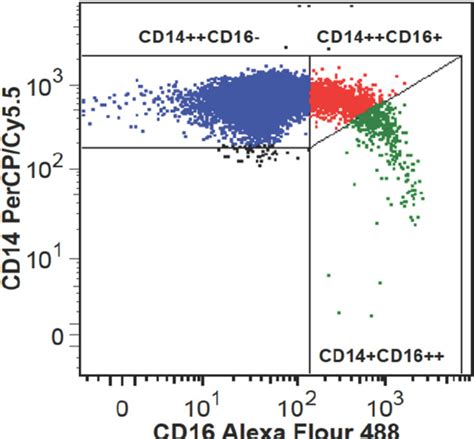 Flow Cytometric Analysis Of Monocyte Subpopulations Representative