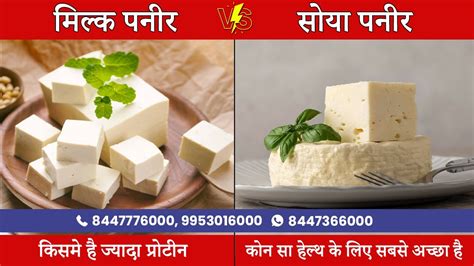 Difference Between Tofu And Paneer Which Is More Nutritious Dr
