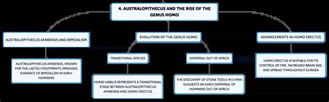 Evolution Of Simian Primates Algor Cards