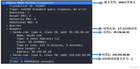 【网络技术】【kali Linux】wireshark嗅探（四）域名系统（dns）使用wireshark分析对dns协议进行分析 Csdn博客