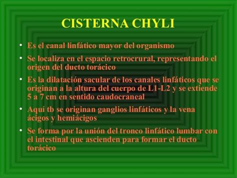 Cisterna Chyli