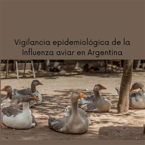 Vet Comunicaciones Noticias Vigilancia Epidemiológica De La