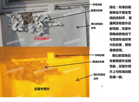 W B3型 涂层伪装网 伪装网 北京北新纳科技开发有限公司