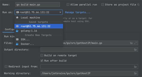 GoLand 2021 1 Удаленная разработка на Docker SSH и WSL 2 поддержка