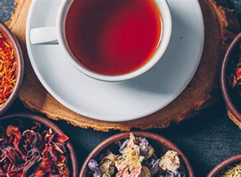 مقالات دکتر کیانا صادقی