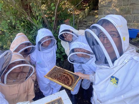 Beekeeping Classes Bee And Wasp Removal Services Beehives For Sale