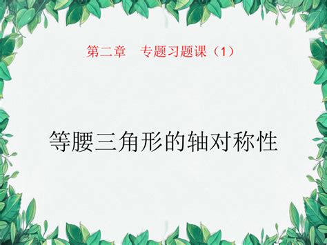 苏科版数学八年级上册第二章 轴对称图形 等腰三角形的轴对称性 习题课1课件 共22张PPT 21世纪教育网