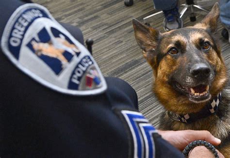 Are Police Dogs Friendly