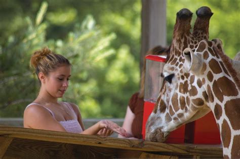 Richmond Va Attractions Local Favorites And Famous Sites