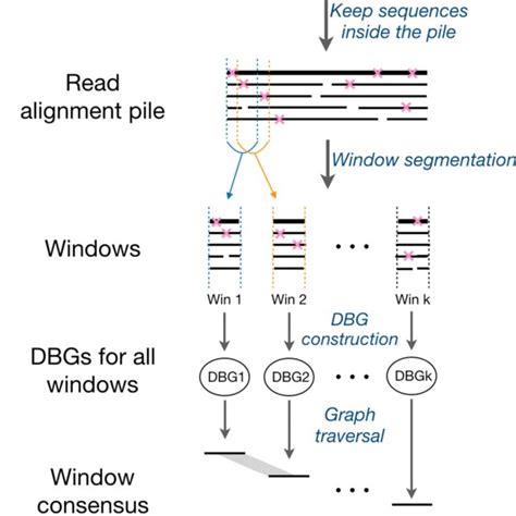 The Schematic Diagram For The Sequencing Error Correction Procedure Of Download Scientific