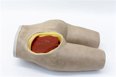 Life Form Manikin Intramuscular Injection Simulator Faculty Of Medicine Dentistry And