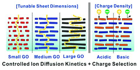 Schematic Representation Of The Ion Transport Through Multilayered Go