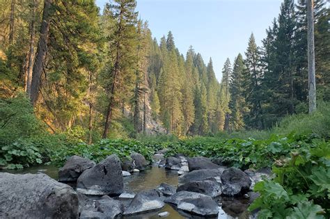 Lightning Sparks 3 Small Wildfires In Northern California Forest
