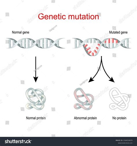 Protein Structure Modification Over 118 Royalty Free Licensable Stock