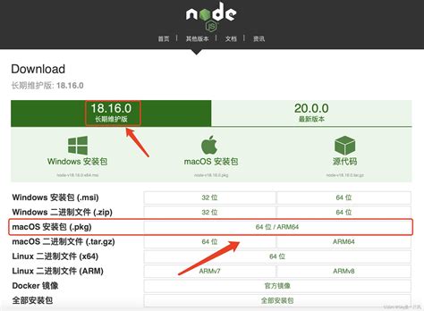 Mac OS安装Vue CLI脚手架并创建一个基础项目教程 mac安装vue脚手架 CSDN博客
