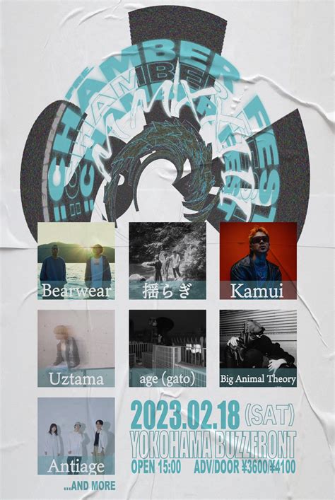 4-Bearwear | PUNKLOID