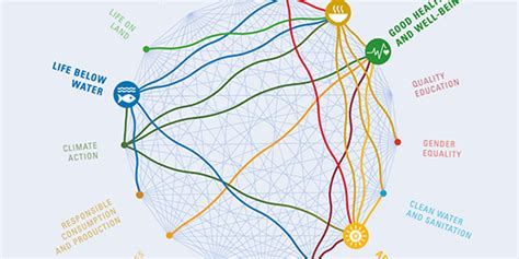 Do We Need A Common Knowledge Platform On Sdg Interactions