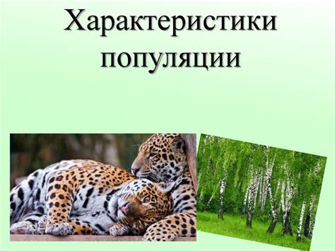 Характеристики популяции - презентация онлайн