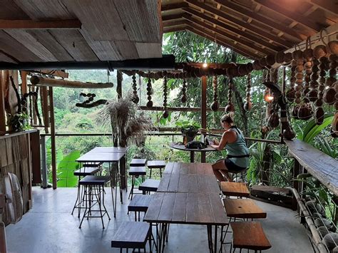 Tree Bridge Coffee Kohplanner