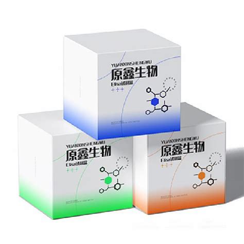 小鼠双氢睾酮dht试剂盒 小鼠elisa试剂盒 Elisa试剂盒 上海原鑫生物科技有限公司