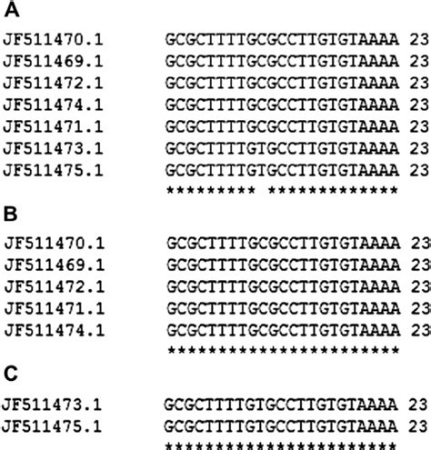 Multiple Sequence Alignment Of All Predicted Sirna Target Sequence A