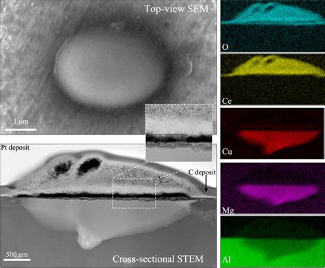 Post Mortem Analysis Of Exposed S Phase Particles After 6 H Top View