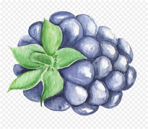 Png Qmreazle