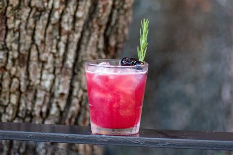 2 Must Mix Apple Cider And Cranberry Cocktails Chilled Magazine