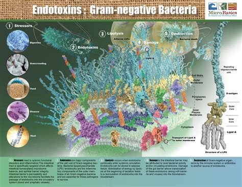 Microbasics On Linkedin Biotoxins