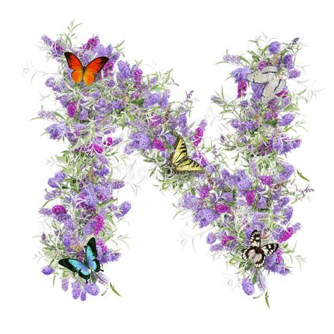 Bouddleia Lettre Majuscule Alphabet Lettre N Photo Stock Image Du