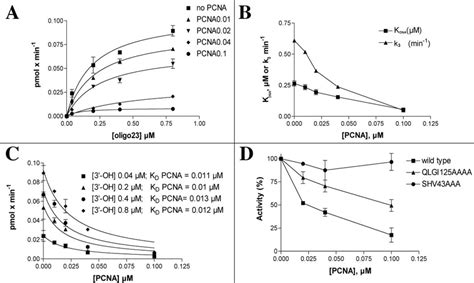 Physical Interaction Between Pol And PCNA Is Required For Inhibition Of