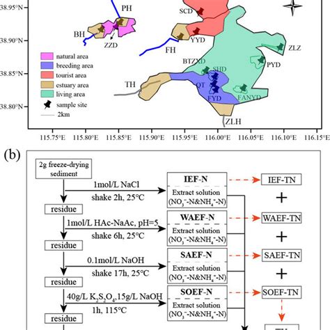 The Sample Sites And Sequential Extraction Process Of Sediment N Download Scientific Diagram