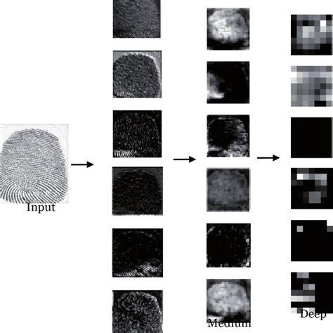 Pdf Transfer Learning Of Pre Trained Cnn Models For Fingerprint