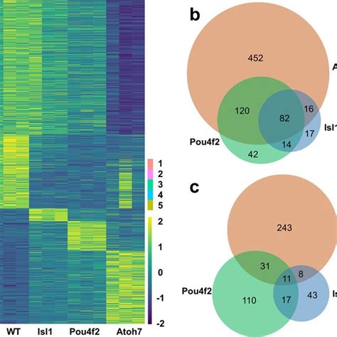 Conventional Rna Seq Identifies Differentially Expressed Genes Degs