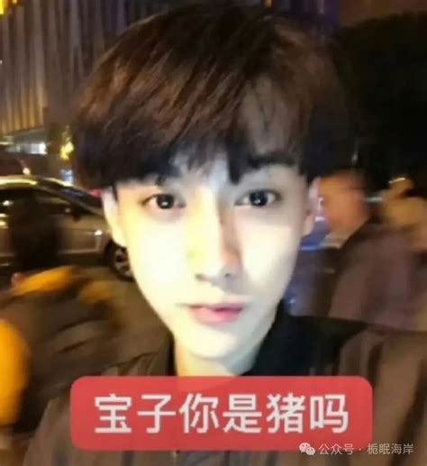 田雷表情包 戏谑调侃的表情包： 宝子你是猪吗”，尽显幽默风趣表情包图片动图 求表情网斗图从此不求人