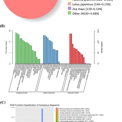 Function Annotation Of Transcripts A Nr Homologous Species