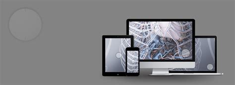 Zygote 3d Human Anatomy Models Human Anatomy Models For Animation