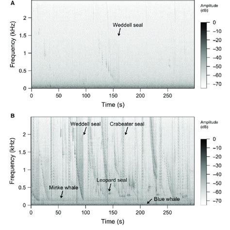 Spectrograms Showing Two Examples Of Low A And High B Diverse