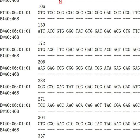 Alignment Of Nucleotide Sequence Of The Exon 2 Of HLAB 40 468 Allele
