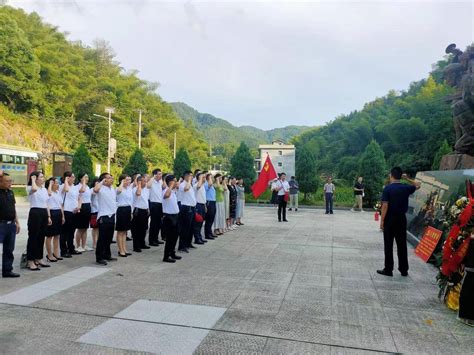 缅怀革命先烈 传承红色精神通山县楚王医疗
