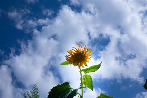 خلفيات لابتوب 4k Photos Download The Best Free خلفيات لابتوب 4k Stock