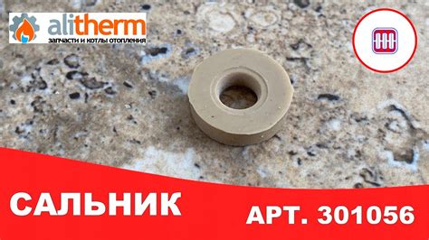 Уплотнение штока газового клапана ЖМЗ 301056 АОГВ 11, 17, 23, 29 КОВ СГ ...