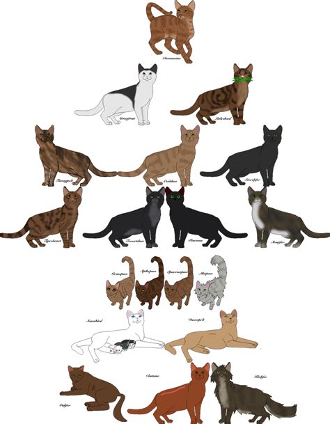 Shadowclan Post Bramblestars Storm By Jeanzedlav On Deviantart