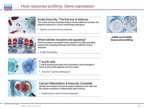 Host Pathogen Interactions Molecular Basis And Host Defense Pathogen Detection Webinar Series